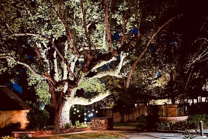 The Last Ride Private Golf Cart Ghost Tour for up to 5 people! - A Thorough Look at the Tour Experience