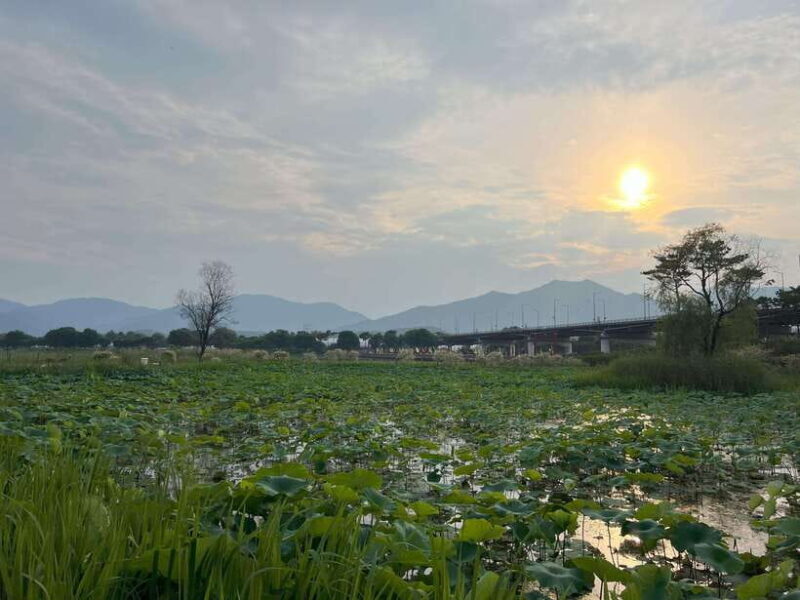 The Life Relaxation Found in Pocheon Tour:2-day,1-night Tour - An Honest Take on the "Life Relaxation Found in Pocheon" Tour