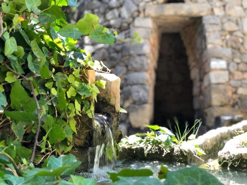 The Limestone Heritage Park and Gardens (Entry Ticket) - Overall Impressions
