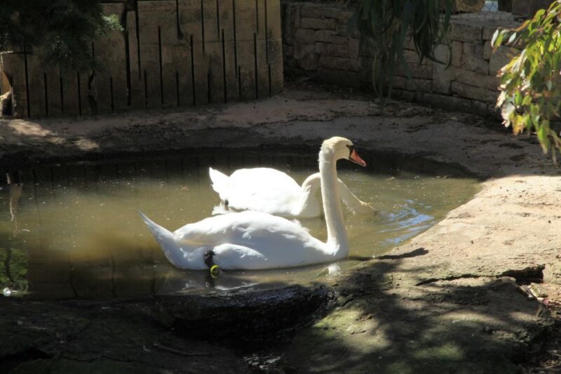 The Limestone Heritage Park and Gardens (Entry Ticket) - FAQs