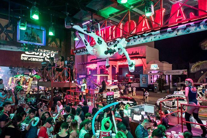 The little cow - Practicalities and Tips for Travelers