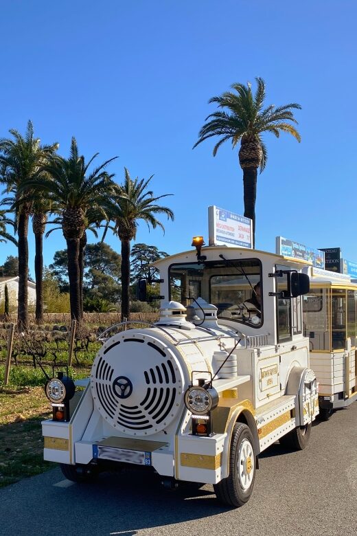The Little Train of La Londe-les-Maures - What to Expect on This Scenic Ride