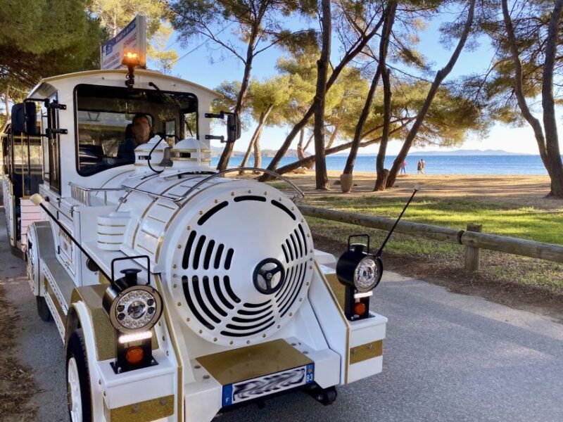 The Little Train of La Londe-les-Maures - Authenticity and Value