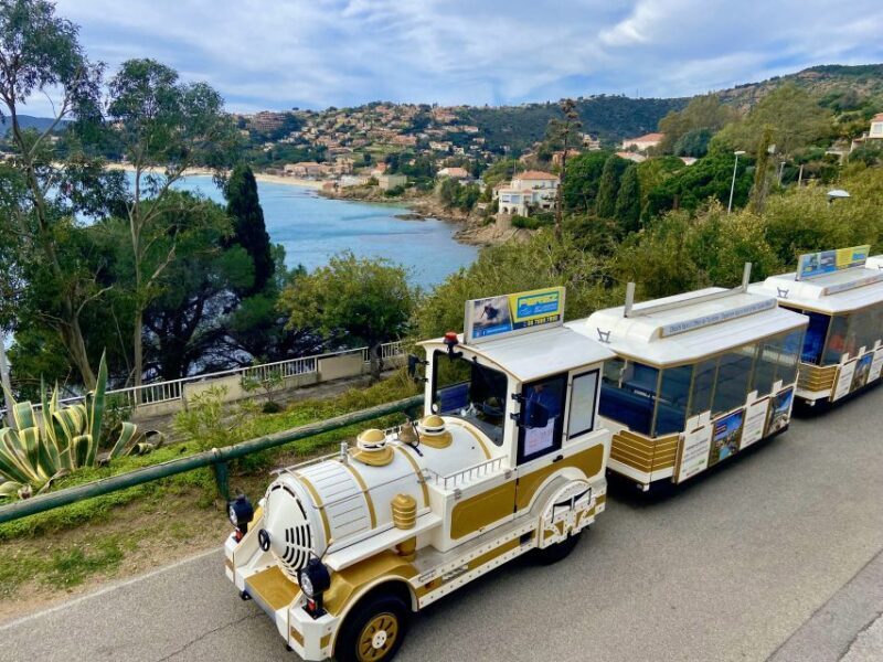 The Little Train of Lavandou's beaches - Key Points
