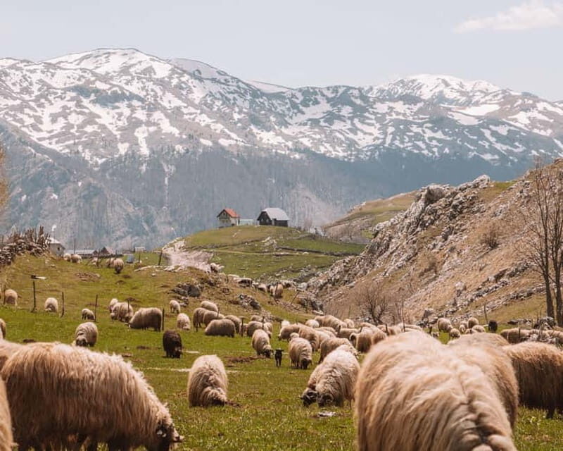 The loneliest village in Bosnia | Hike to Lukomir (from Sarajevo) - FAQ