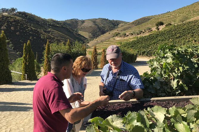 The Luxury Douro tour - Why This Tour Excels