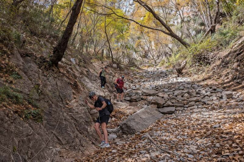 The M of Chipinque: Advanced Hiking with Panoramic Views of Monterrey - The Sum Up