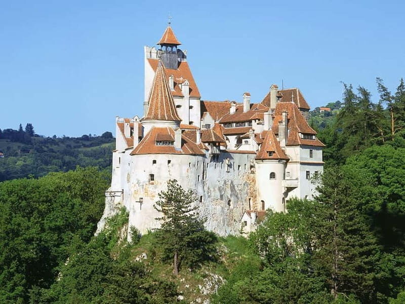 The Magic of Transylvania and the Danube Delta: 8 Days - The Danube Delta: A Natural Wonder