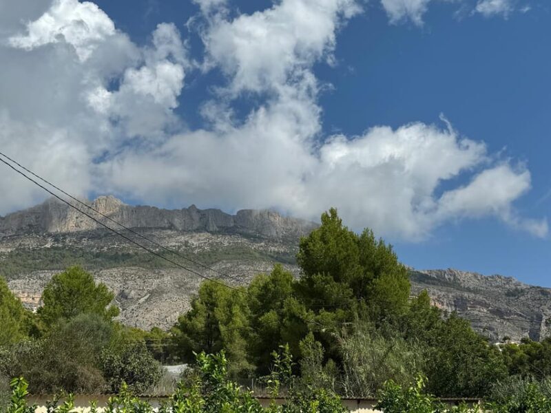 The Magnificent 7 day trip - The Value of This Tour