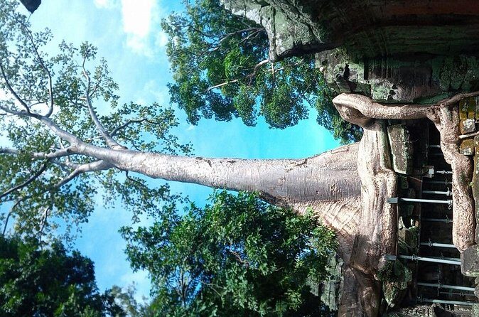 The Magnificent Angkor Wat - Final Thoughts