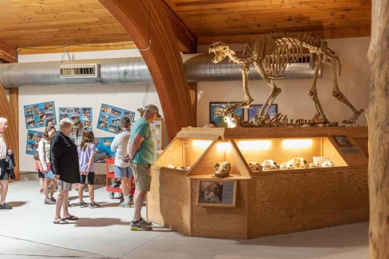 The Mammoth Site of Hot Springs General Admission Ticket - The Location and What Makes It Special