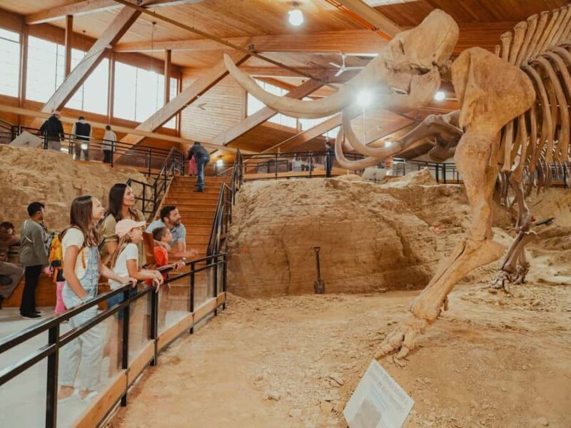 The Mammoth Site of Hot Springs General Admission Ticket - Hands-on and Interactive Elements