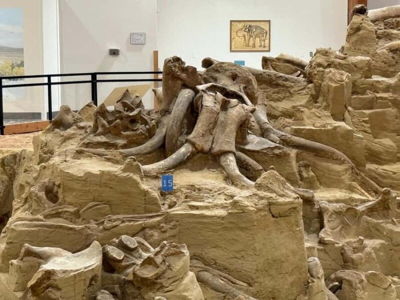 The Mammoth Site of Hot Springs General Admission Ticket - Who Will Love This Experience?