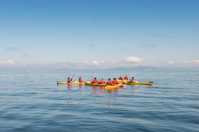The Maori Carvings Half Day Kayak - Authentic Experiences and What Travelers Say
