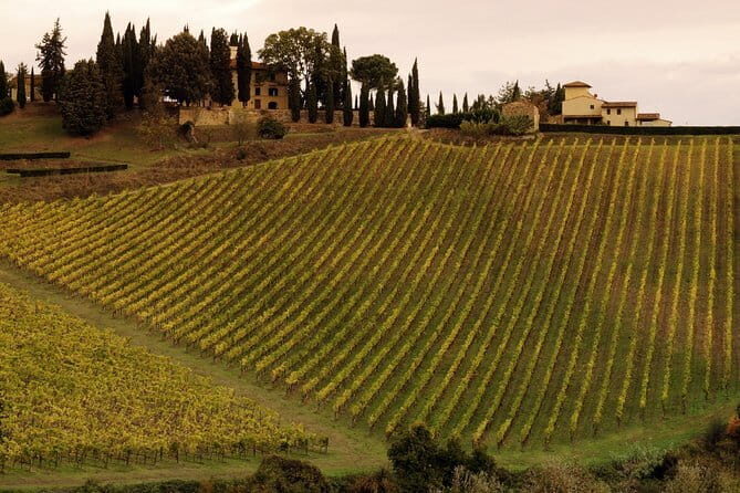 The Medici Family in Florence: a history of money, power and gossip! - Who Should Book This Tour?