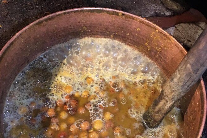 The Medronho Experience! - Discovering the Heart of Monchique’s Medronho Tradition