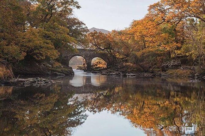 The Meeting of the Waters, Dinis Island, Lakes of Killarney (Minimum 6 people) - A Glimpse into the Experience: Why It Stands Out