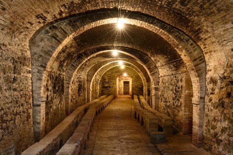 The Memories of the Count - AGED AND SUPERTUSCAN WINE TASTING - Key Points