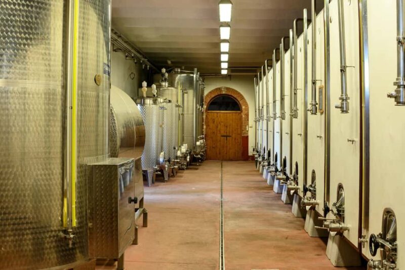 The Memories of the Count - AGED AND SUPERTUSCAN WINE TASTING - A Close Look at Vineyard Practices