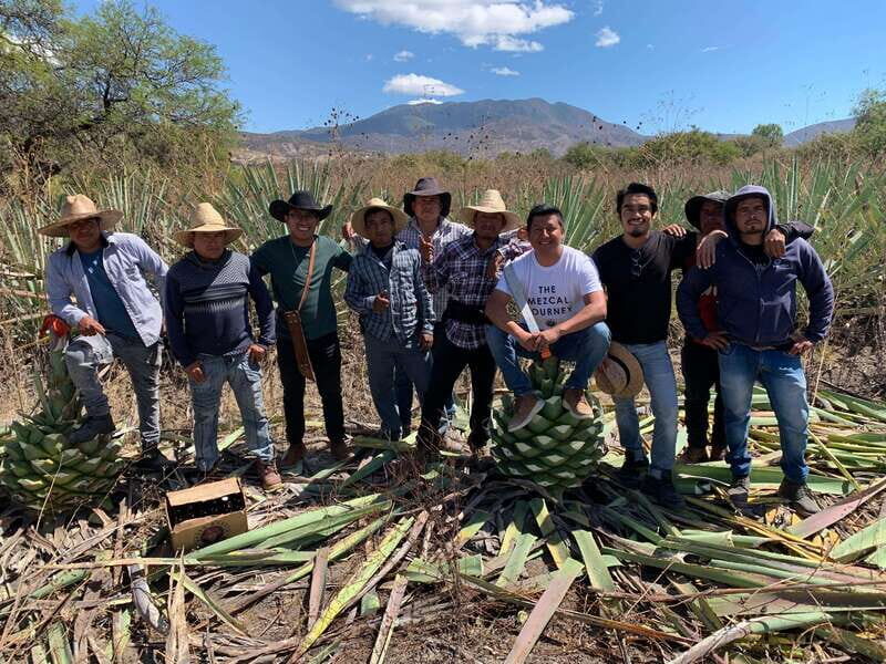 The Mezcal Journey - Visits to Artisanal Mezcal Distilleries