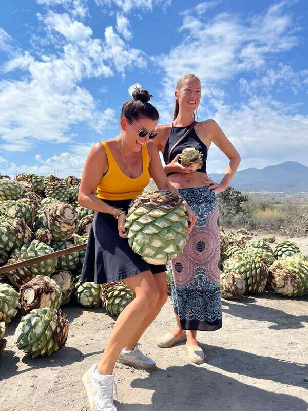 The Mezcal Journey - Return Journey and Final Views