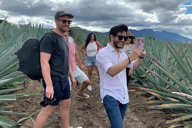 The Mezcal Journey - The Sum Up: Is This Tour Worth It?