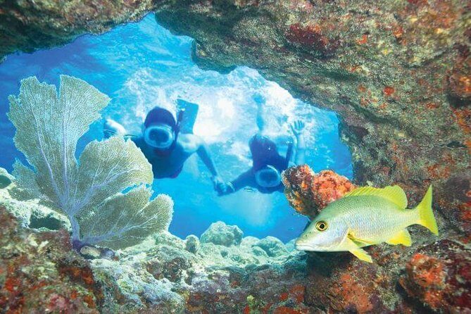 The Miami Sightseeing Day Pass: 35+ Sun-Soaked Attractions & Tours - Who Will Love This Pass?