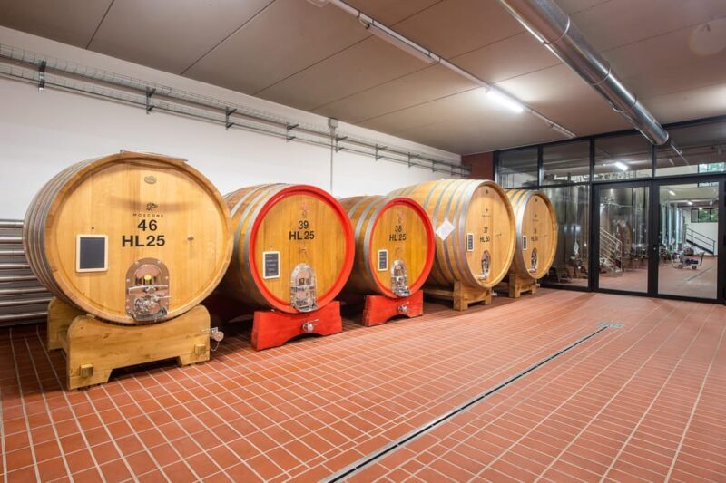 The MONSU: Winetasting in La Morra. - Who Is This Tour Best For?