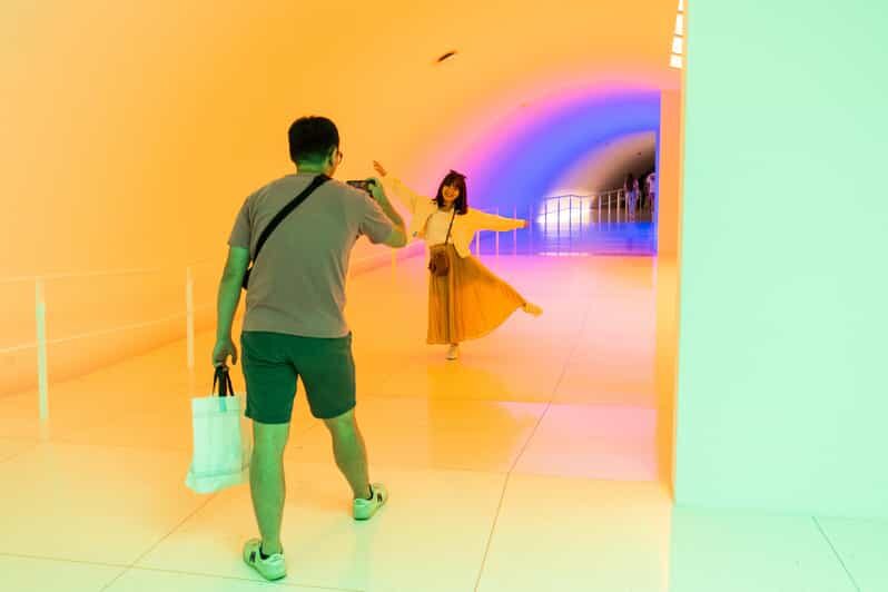 The Museum of Fine Arts, Houston Entry Ticket - Key Points