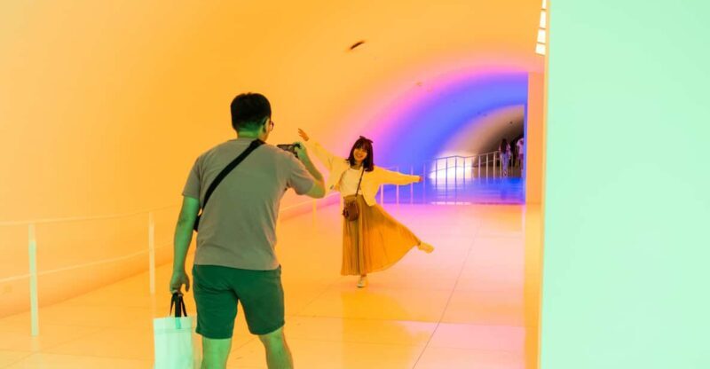 The Museum of Fine Arts, Houston Entry Ticket - An In-Depth Look at the Museum Experience