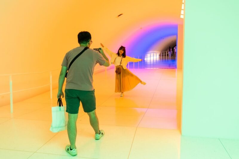 The Museum of Fine Arts, Houston Entry Ticket - FAQ