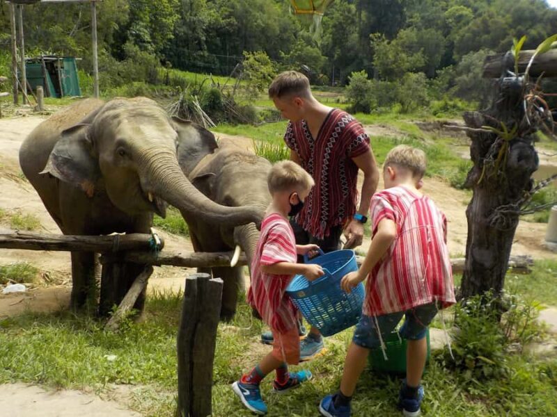 The Must-Do: Authentic Elephant & Village Life in Chiang Mai - A Closer Look at the Experience