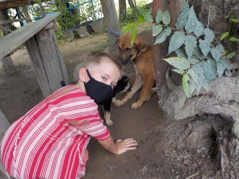 The Must-Do: Authentic Elephant & Village Life in Chiang Mai - FAQ