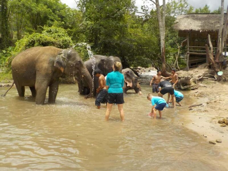 The Must-Do: Authentic Elephant & Village Life in Chiang Mai - In Closing