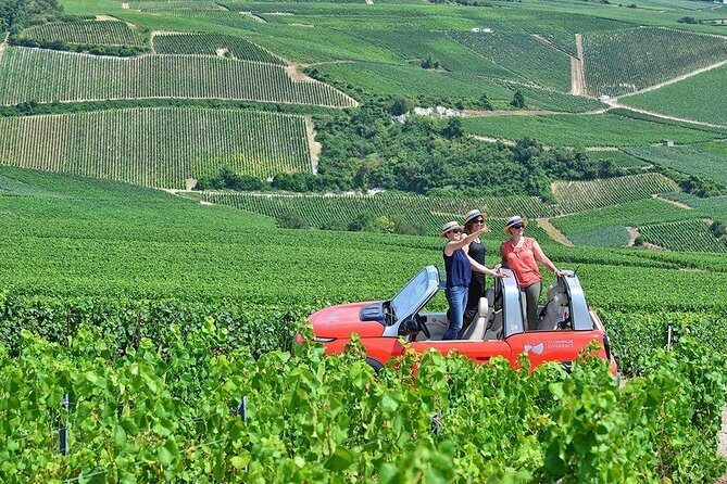 The Must-sees 3h30 from Epernay (Private Half day Champagne Tour) - What to Expect from the Tour