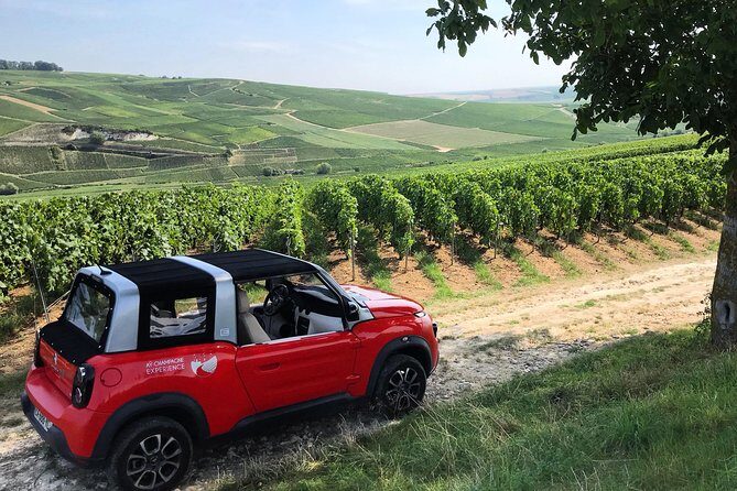 The Must-sees 3h30 from Epernay (Private Half day Champagne Tour) - Who Would Love This Tour?