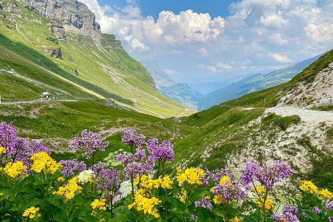 The natural wonders of Switzerland: private tour from Basel (1 day) - Frequently Asked Questions