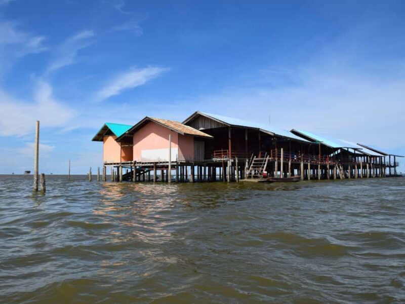 The Nature BKK: Boat to Mangrove & Train to Maeklong Market - Introduction: A Nature Escape Just Beyond Bangkok