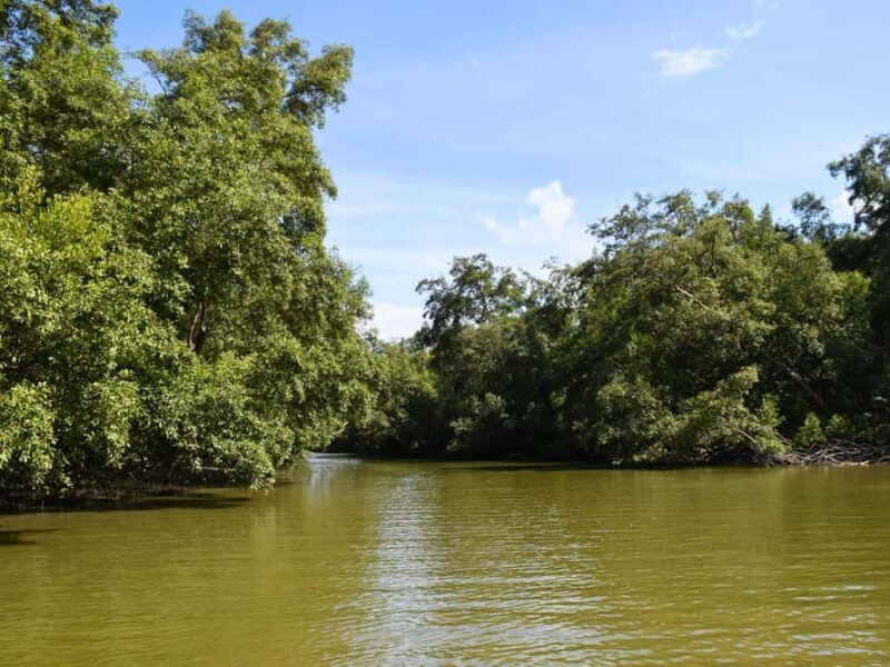 The Nature BKK: Boat to Mangrove & Train to Maeklong Market - FAQ