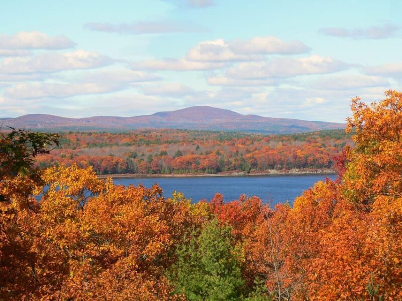 The New England Botanic Garden Day Trip from Boston - What Past Visitors Say