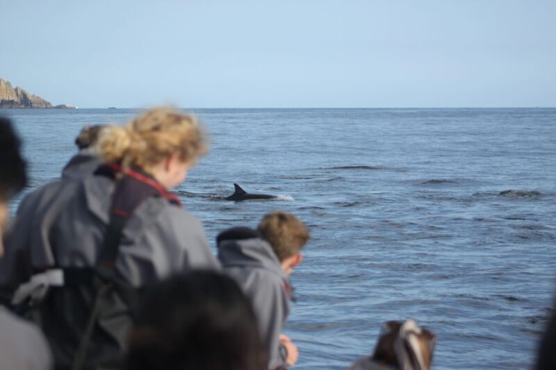 The North Coast Boat Trip Experience - Key Points