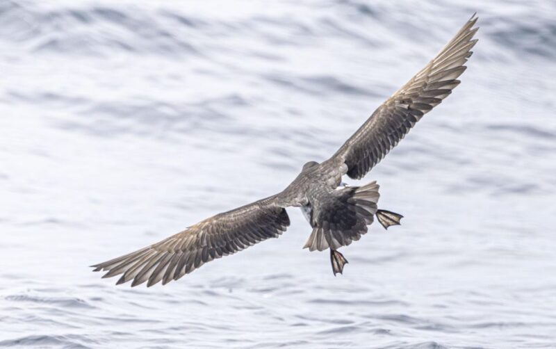 The North Coast Boat Trip Experience - Final Thoughts: Who Should Consider This Tour