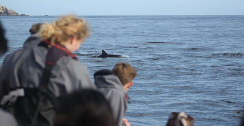 The North Coast Boat Trip Experience - FAQ