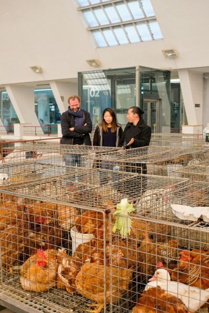 The Only Fish Market Tasting Tour, Sea to Table - A Complete Dive into Porto’s Seafood Scene