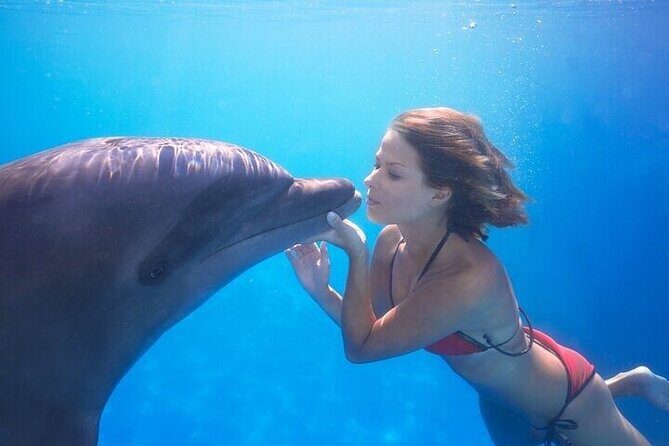 The only Natural Space Dolphin Encounter in Cabo Optional Pickup! - A Trusted and Engaging Dolphin Encounter in Cabo