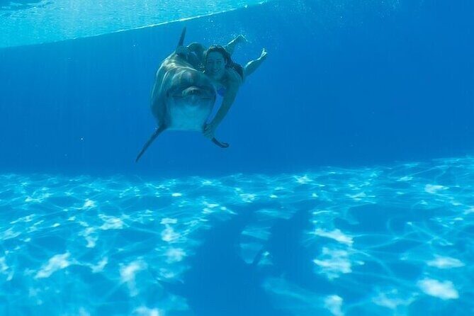 The only Natural Space Dolphin Encounter in Cabo Optional Pickup! - The Sum Up: Who Will Love This Tour?