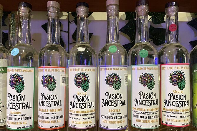 The Only Vegan Tacos and Mezcal Tasting Tour - Who Should Consider This Tour?