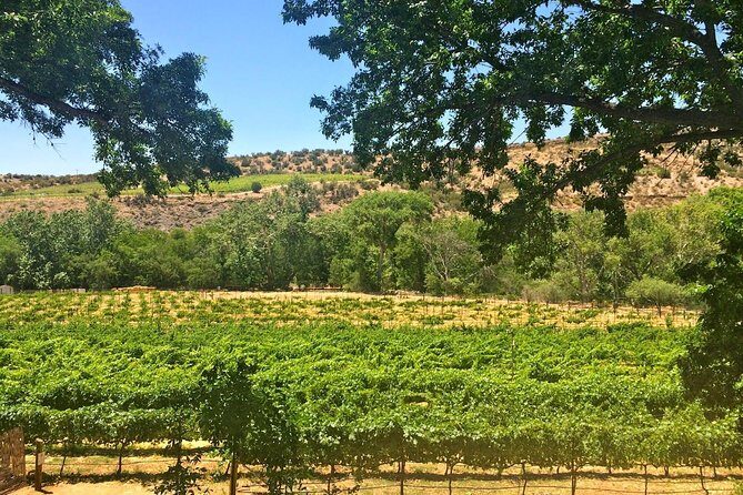 The Original 4 Winery Tour with Charcuterie - Introduction: Who This Tour Is Perfect For