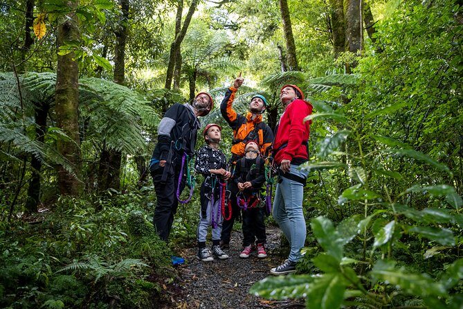 The Original Canopy Zipline Experience Private Tour From Auckland - An In-Depth Look at the Canopy Zipline Adventure