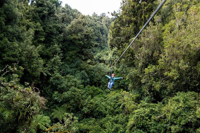 The Original Canopy Zipline Experience Private Tour From Auckland - Practical Details and Considerations